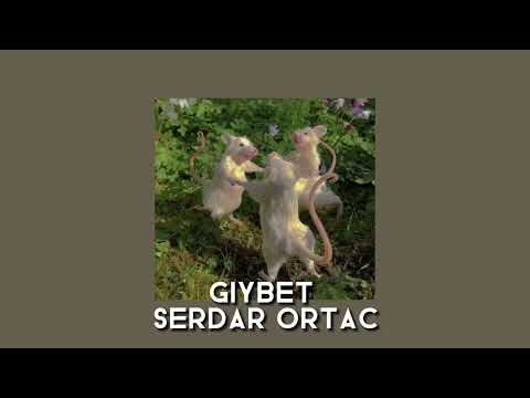 gıybet speed up (serdar ortaç)