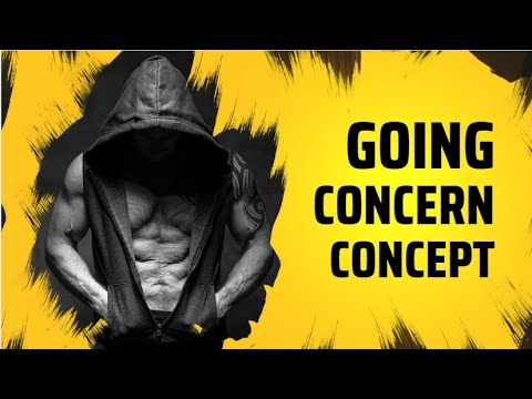 Going concern concept | Accounting principle | chapter 3 | class XI ...