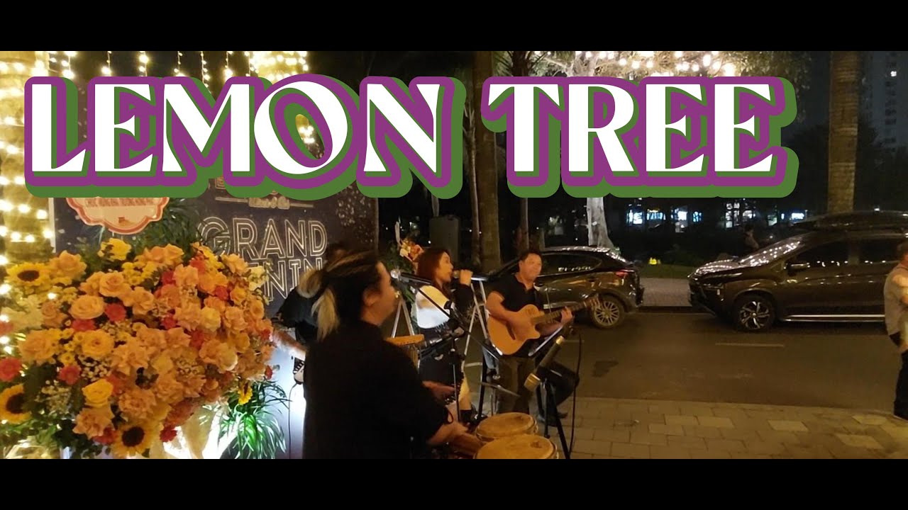 LEMON TREE || ĐỨC NHÃ GUITAR || ĐỨC NHÃ EVENT - YouTube Music