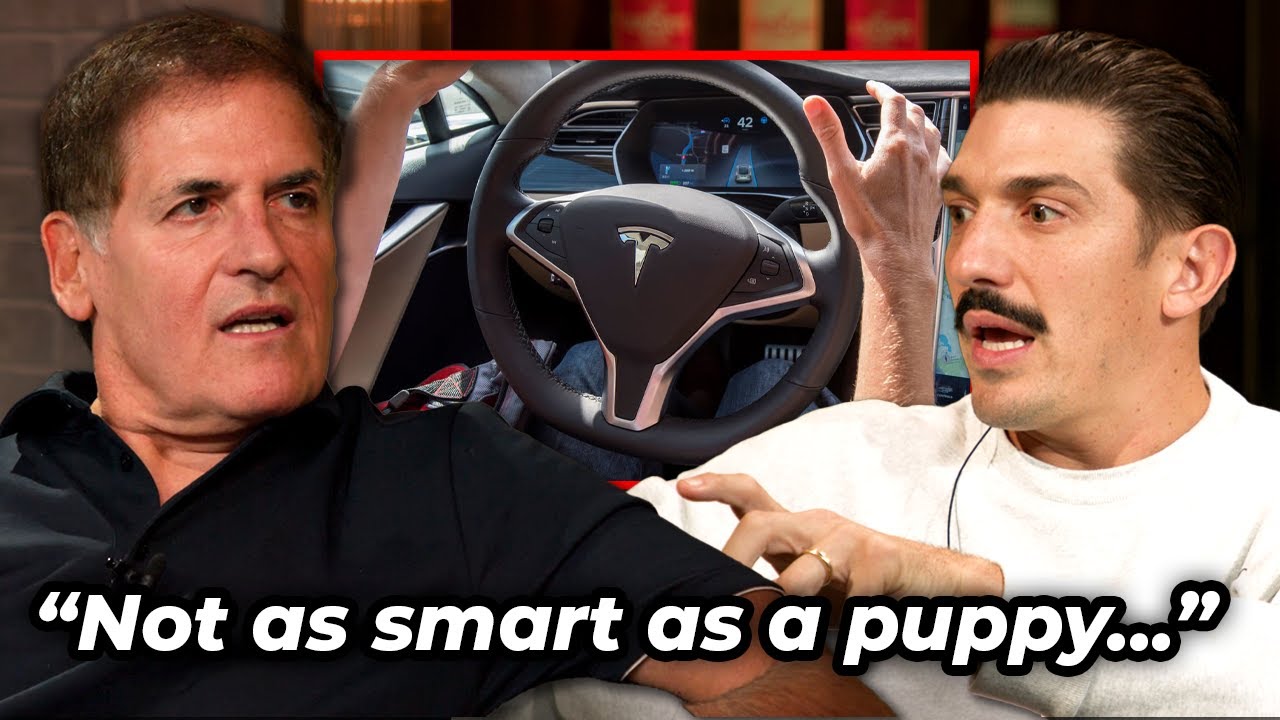 Mark Cuban's Unique Outlook on AI & Elon's Self Driving Teslas - YouTube
