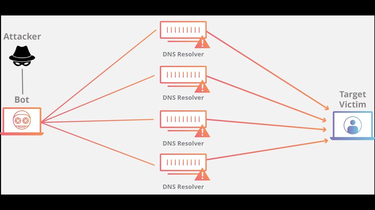 ddos attack | kali linux - YouTube