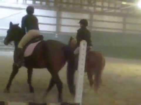 Riding Sugar and Midget Pony (Butterbean) - YouTube