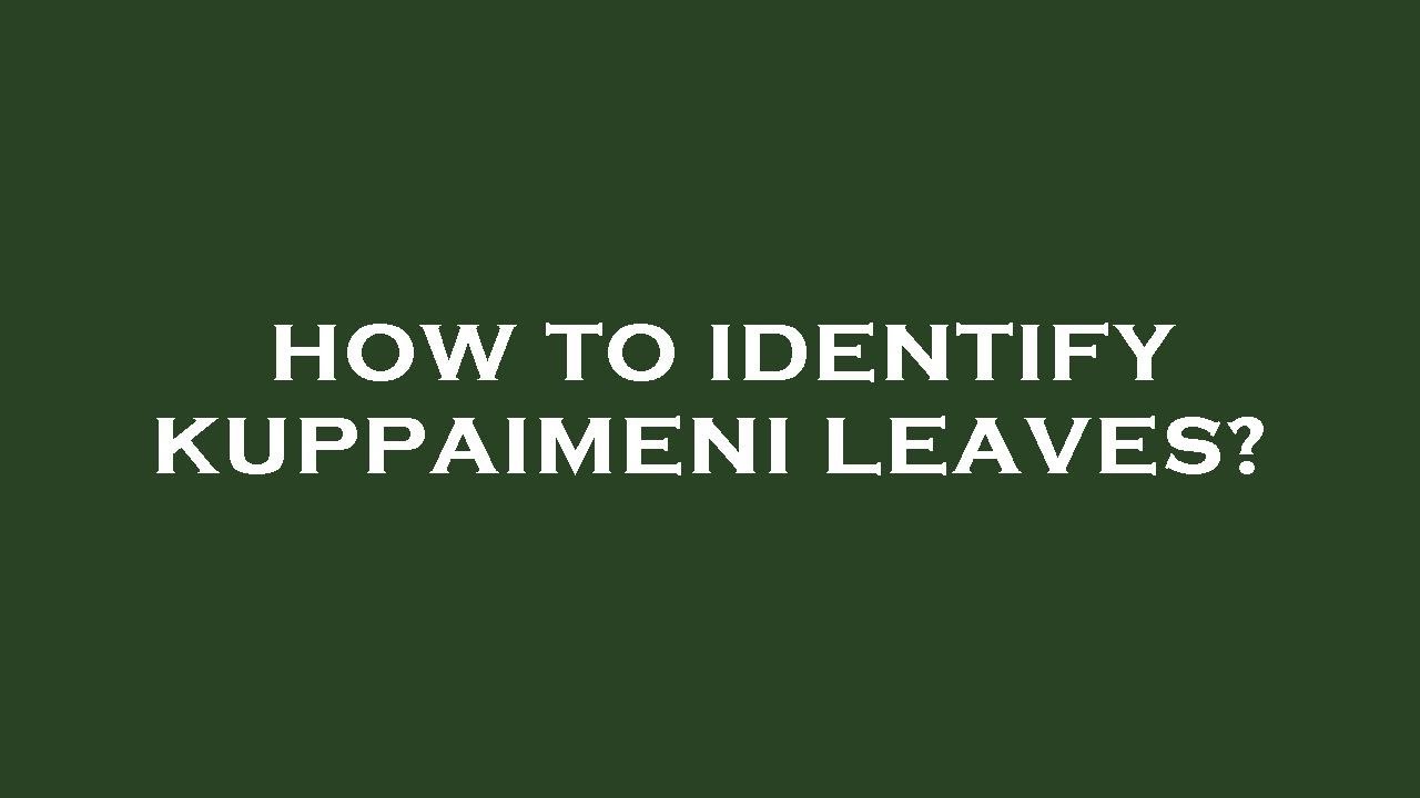 How to identify kuppaimeni leaves? - YouTube