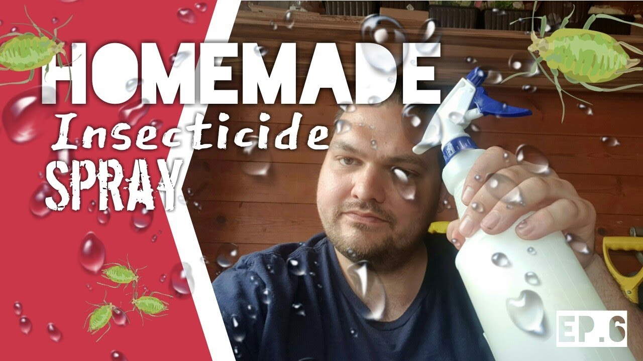 Easy Homemade Insecticide Spray - YouTube