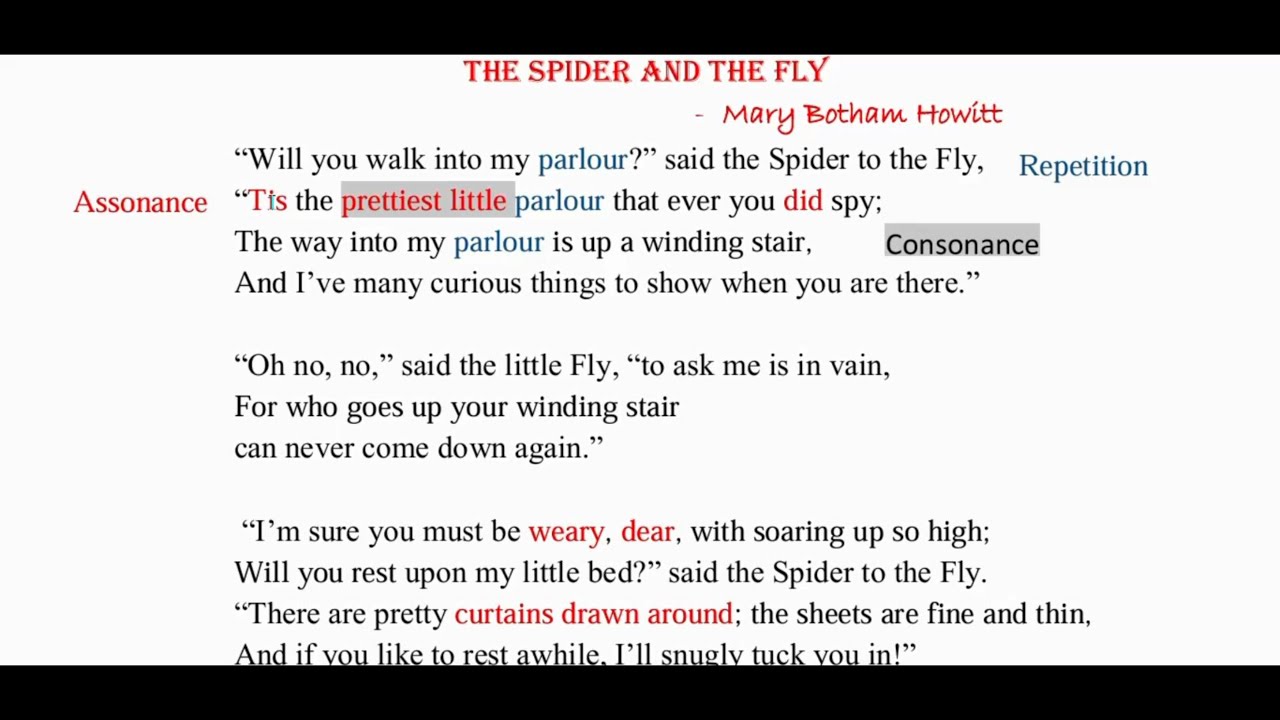 The Spider And The Fly Poem from 9th English book - YouTube