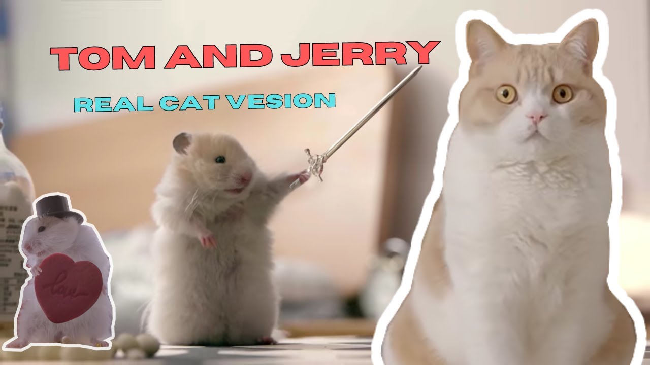 Tom and Jerry real cat vision - YouTube