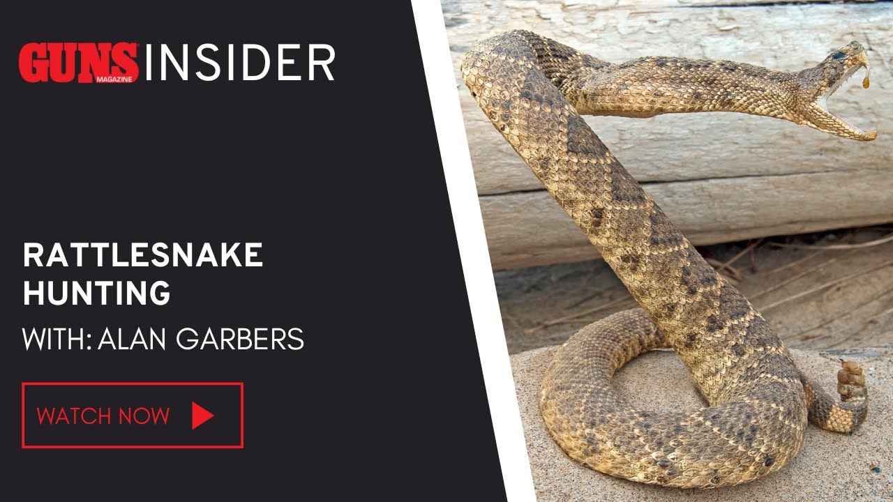 Rattlesnake Hunting with Alan Garbers - YouTube