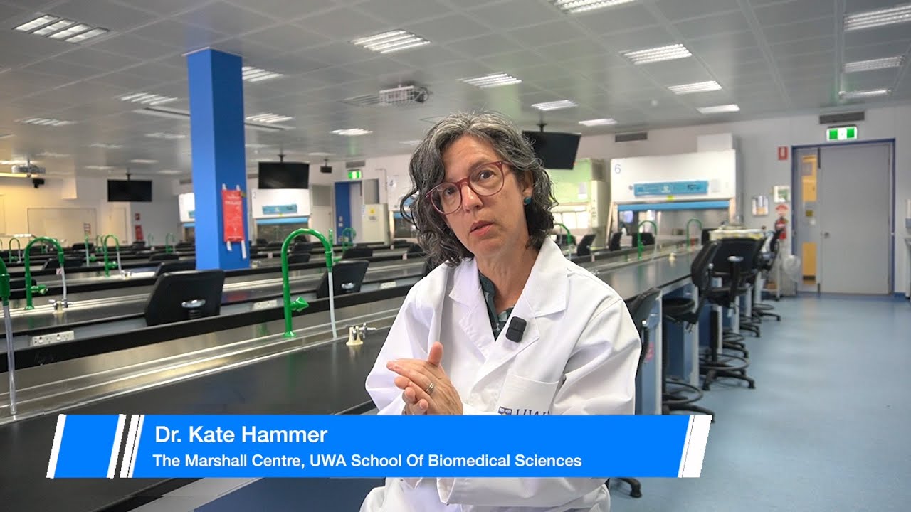 Meet The Experts - Dr. Kate Hammer - YouTube