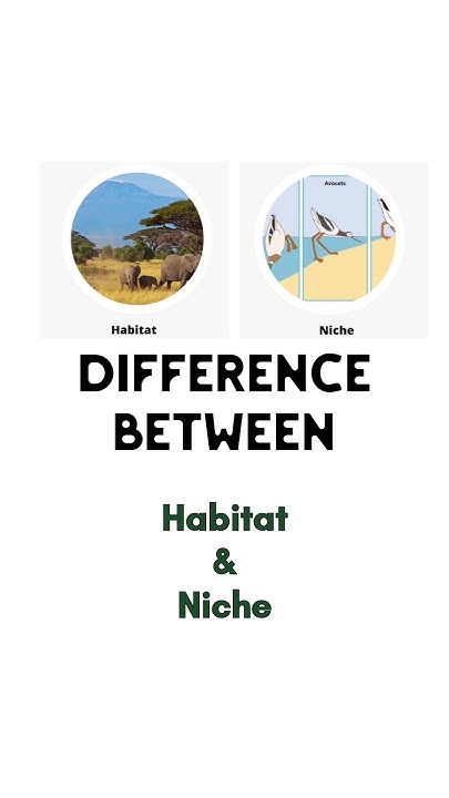 Difference between Habitat & Niche || #neet2025 #neet #ncert #ecology #habitat #niche - YouTube