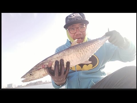 Ang Pamimingwit Sa Bahrain Part 41 Pangalawang landed na king fish Duon ...