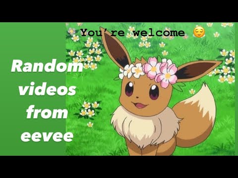 The most random videos from eevee - YouTube