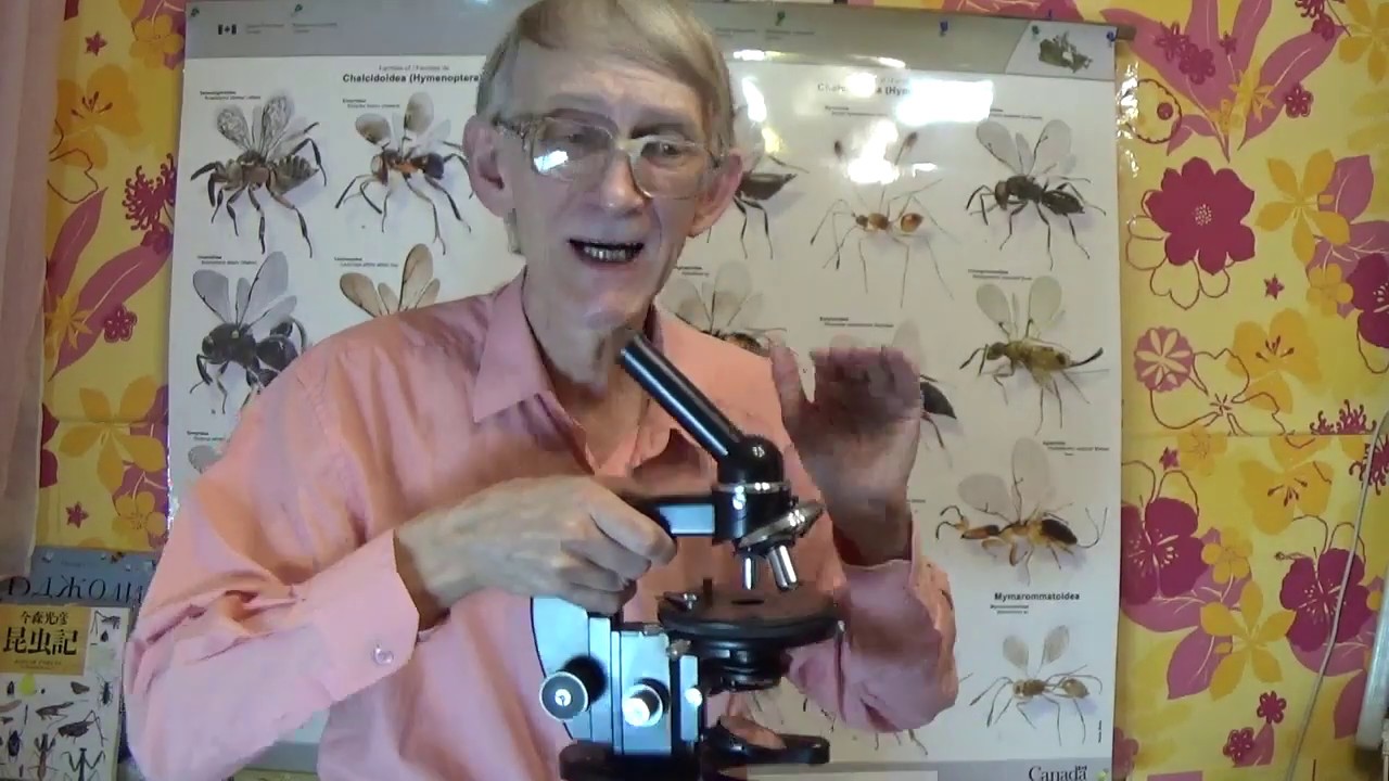 Have Problems with Insects? Need Help? Do you hate insects? Do you like ...
