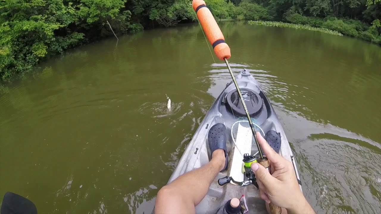 Fishing Southern Maryland: Gilbert Run Park (June 13, 2019) - YouTube