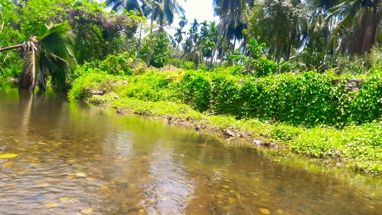 1080p Beauty of Kalladikode Thuppanadu Puzha - YouTube