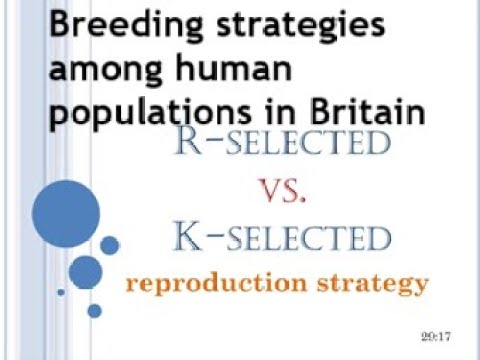 r/K breeding strategies among different human populations in the same ...