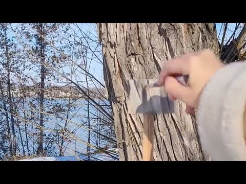 Color Match Trick Art: Tree Bark #colormatchqueen #pleinair #colormatch ...