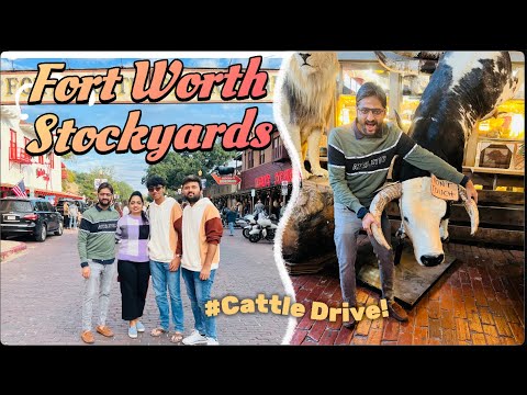 Fort Worth Stockyards || Dallas || Cattle Drive || Texas || - YouTube