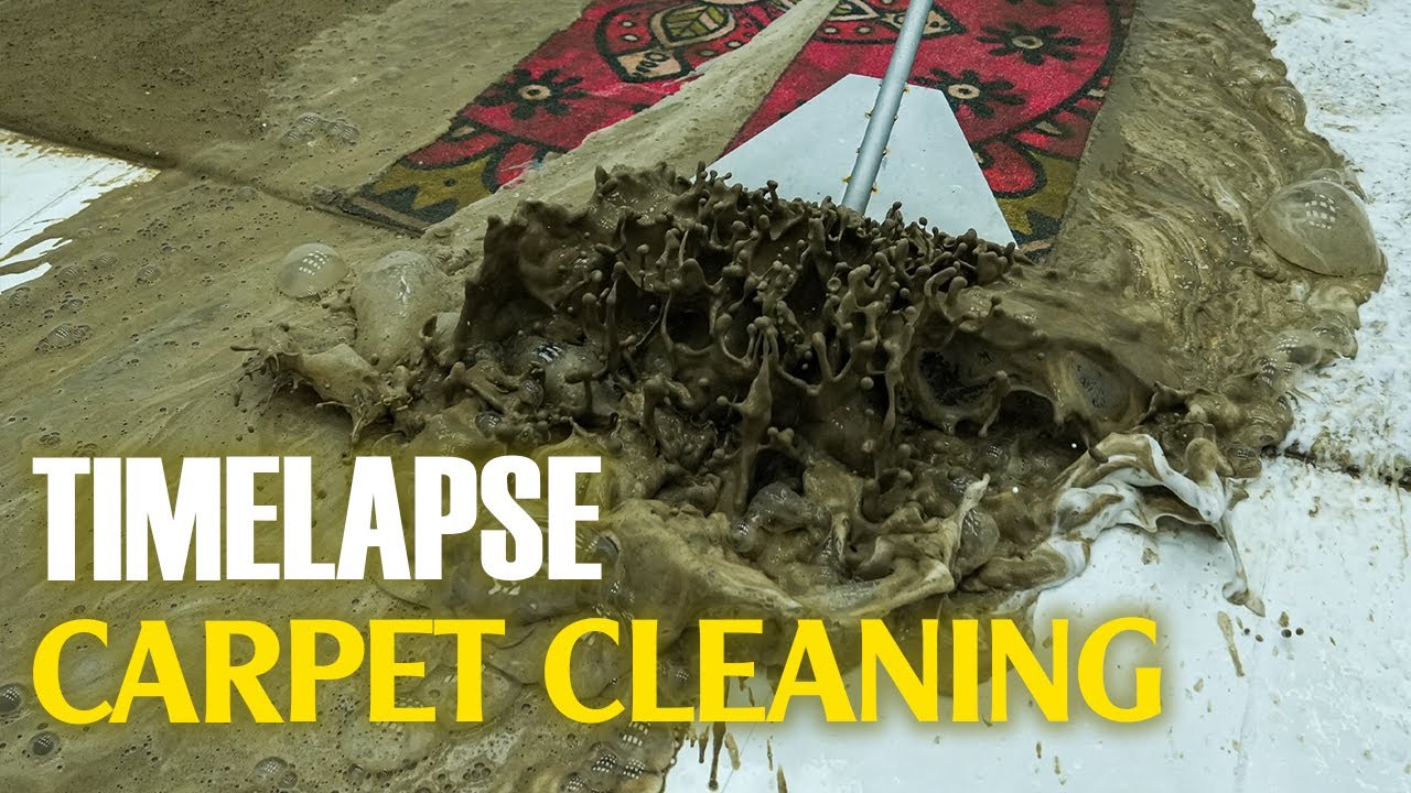 Incredible Carpet Cleaning Time Lapse – You Won't Believe the Results ...