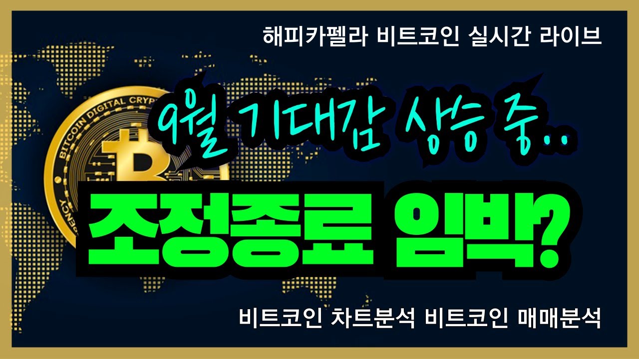 비트코인 실시간 조정종료 임박 중 9월 기대감 상승 중 827 저녁💎비트코인 비트코인실시간 이더리움 리플