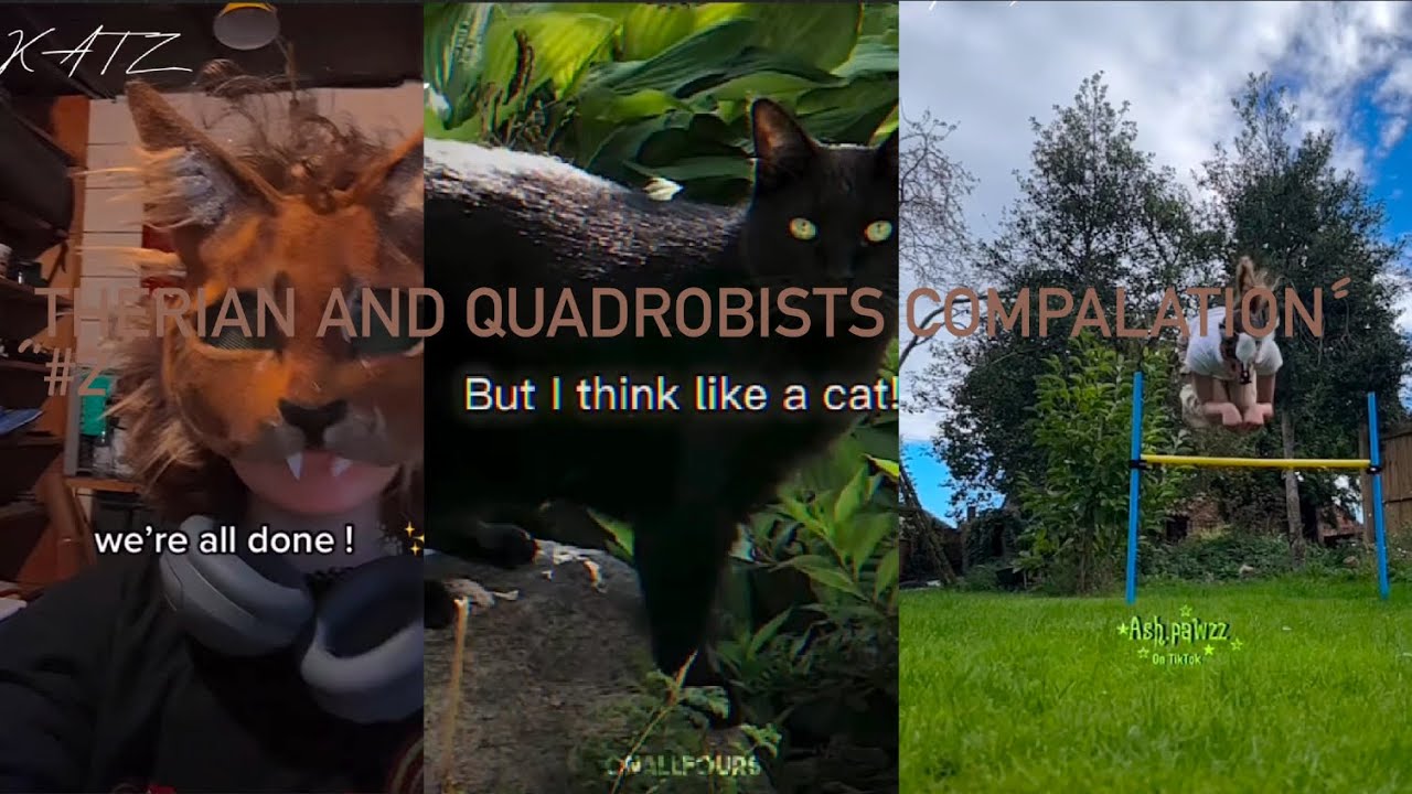 𝚃𝚑𝚎𝚛𝚒𝚊𝚗 𝚊𝚗𝚍 𝚀𝚞𝚊𝚍𝚛𝚘𝚋𝚒𝚜𝚝 𝙲𝚘𝚖𝚙𝚕𝚒𝚊𝚝𝚒𝚘𝚗 //2// - YouTube