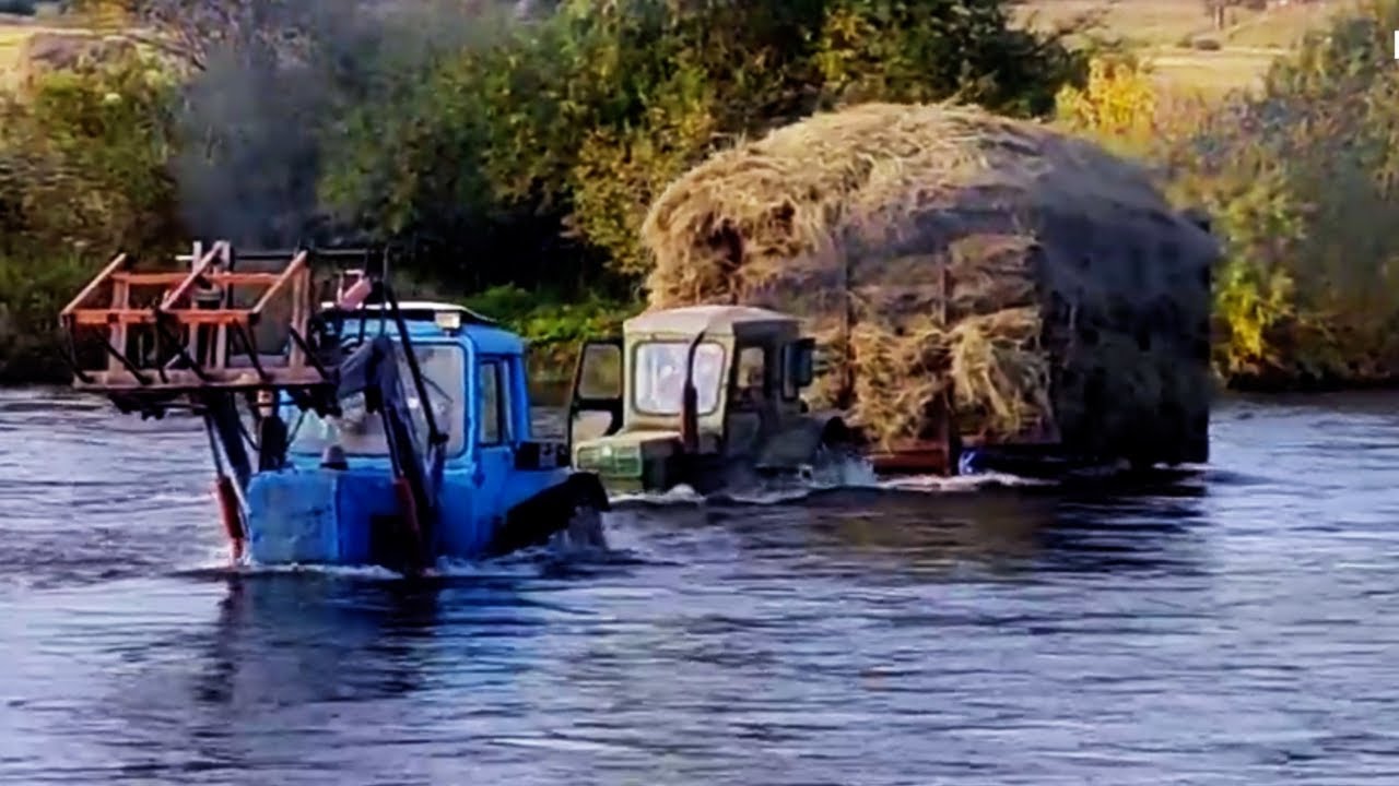 16 Extreme Logging Machines in Action | Giant Trees, Harvester Power ...