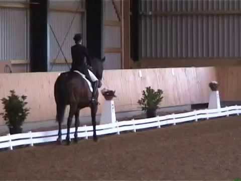 Dressurreiterin - YouTube