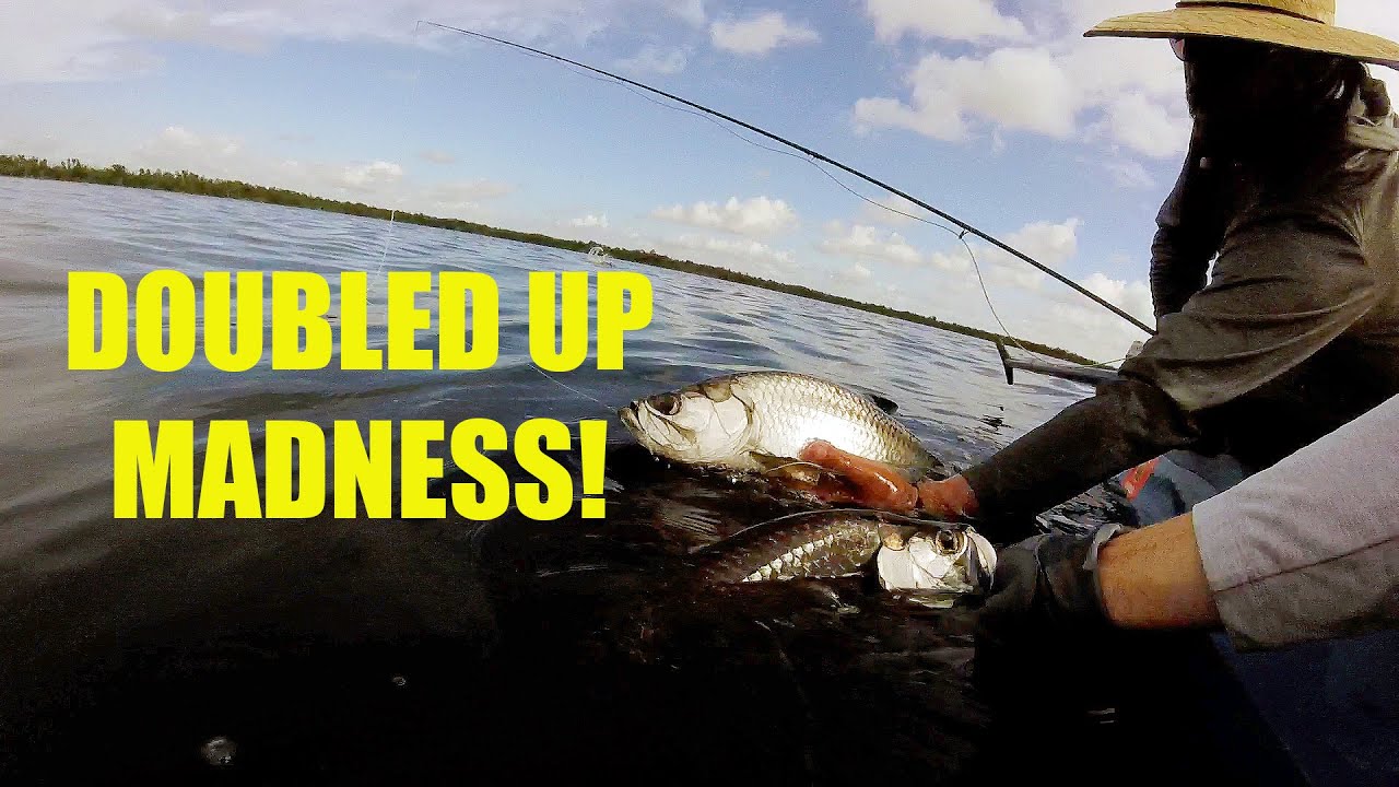 Madness! Baby Tarpon on fly | Everglades Tarpon and Snook Fishing Part ...