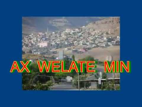 Ax velatemin