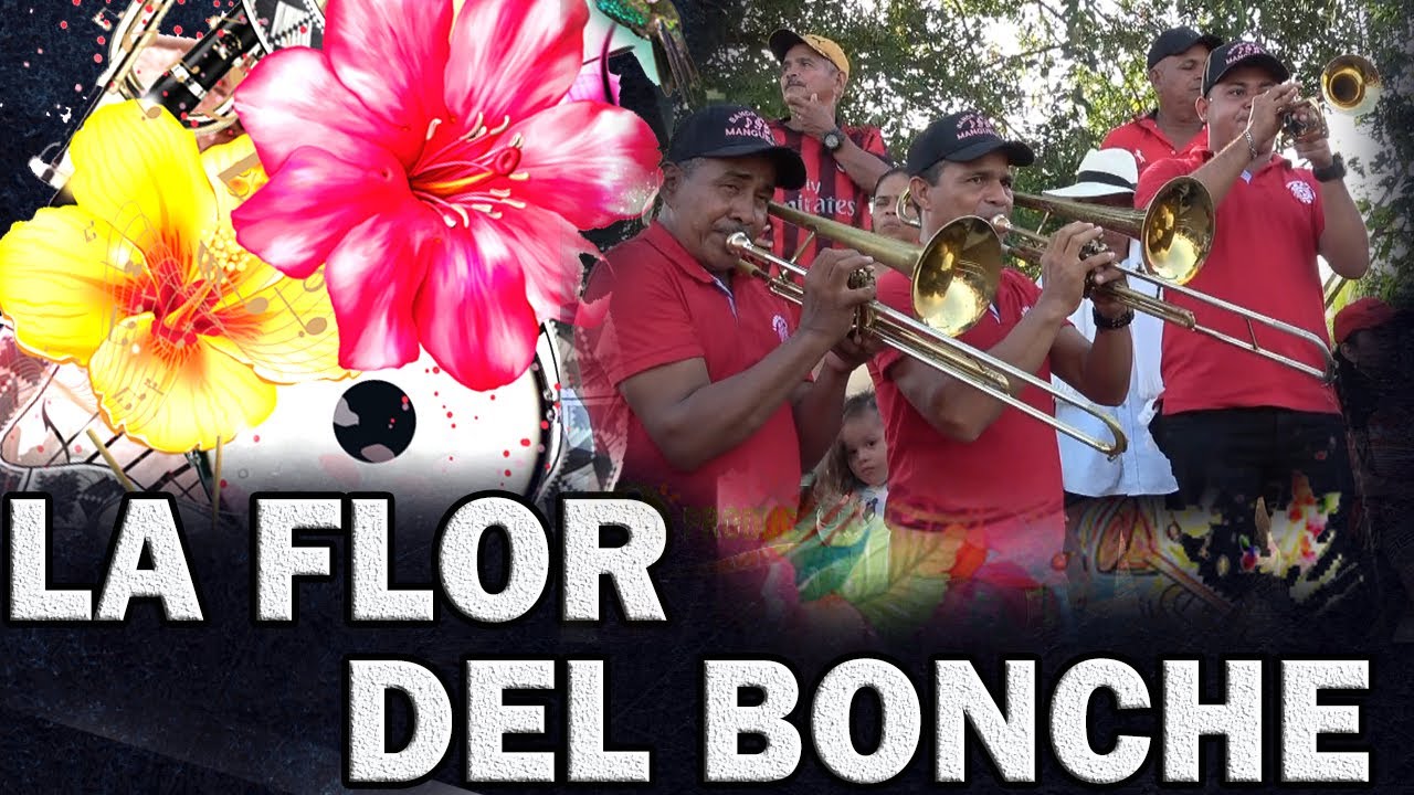 Flor del Bonche - Banda numero uno de angelito - YouTube