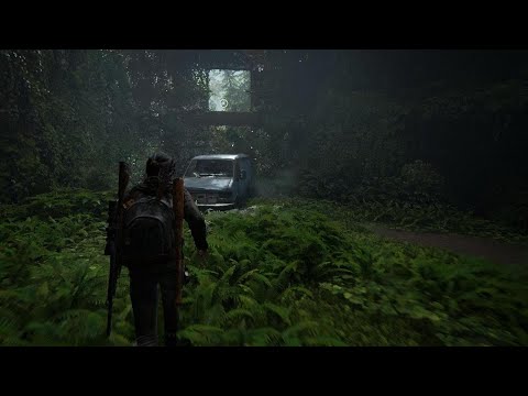 The Last of Us Part II Remastered beau