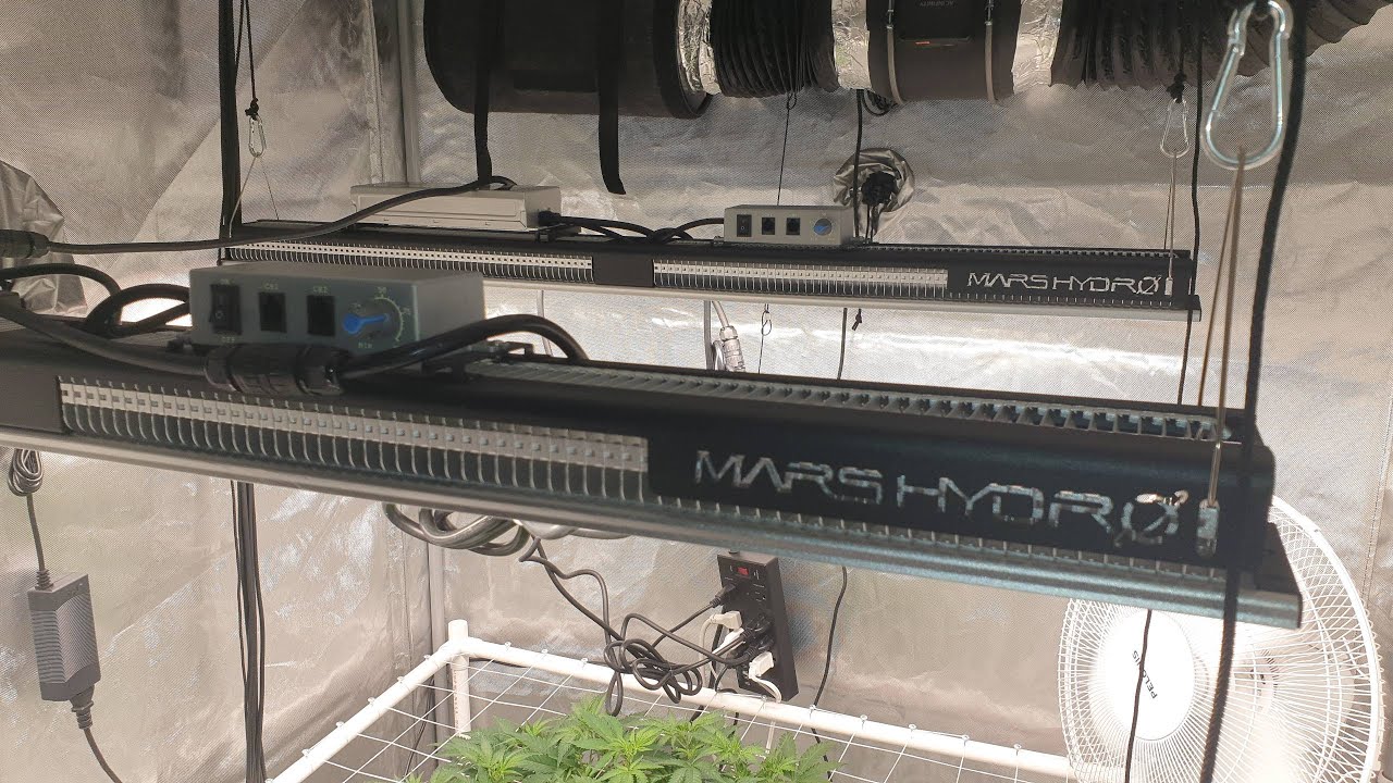 Underrated Beast!!! Mars Hydro SP3000... - YouTube