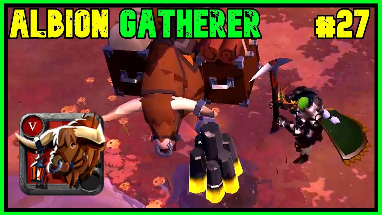 Albion Online Gathering - Tier 5 Ox Edition - YouTube