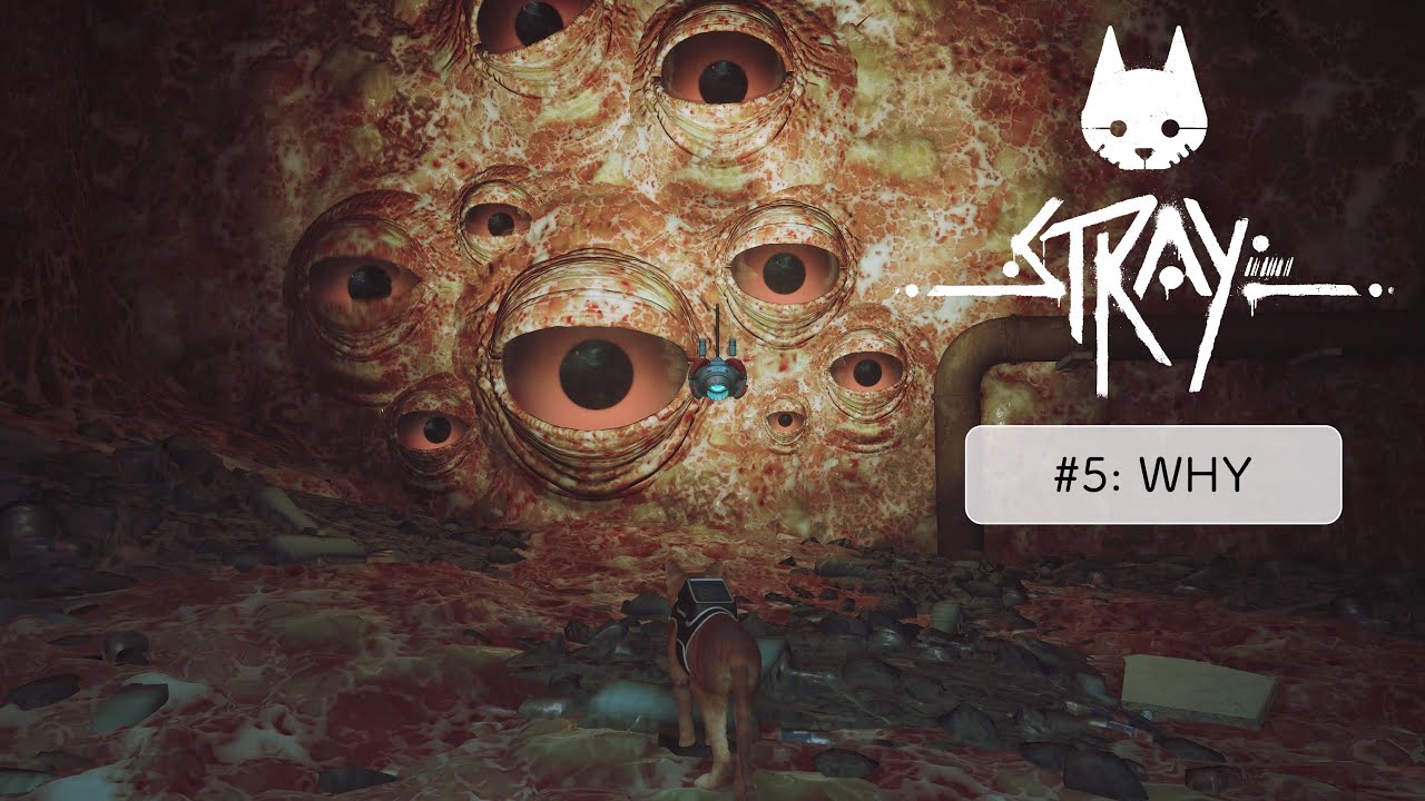 FLESH EYES 🐈 Stray #5 - YouTube
