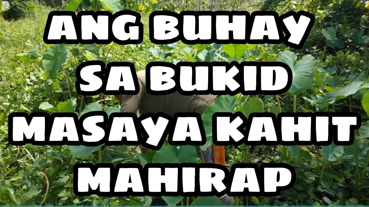 buhay bukid - YouTube