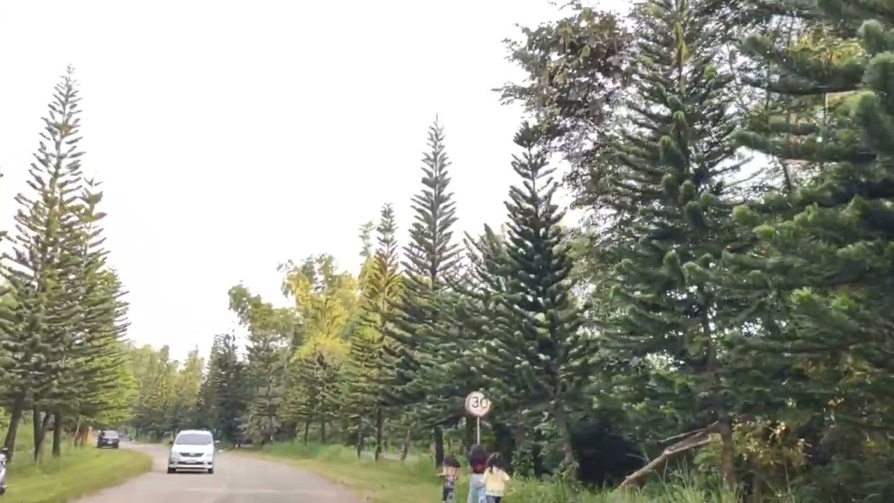 📍Little Baguio, Sapinit Road, Antipolo Rizal - YouTube