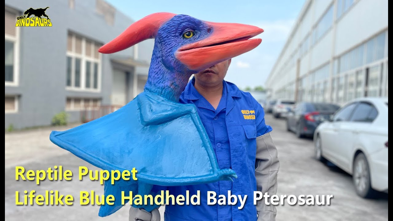 Lifelike Blue Handheld Baby Pterosaur | Reptile Puppet - YouTube
