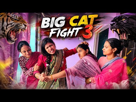 Cat Fight Challenge 3 #catfight 