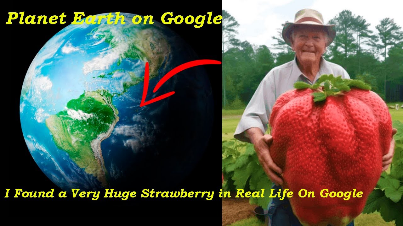 I Found a Very Huge Strawberry in Real Life On Google Earth and Maps # ...