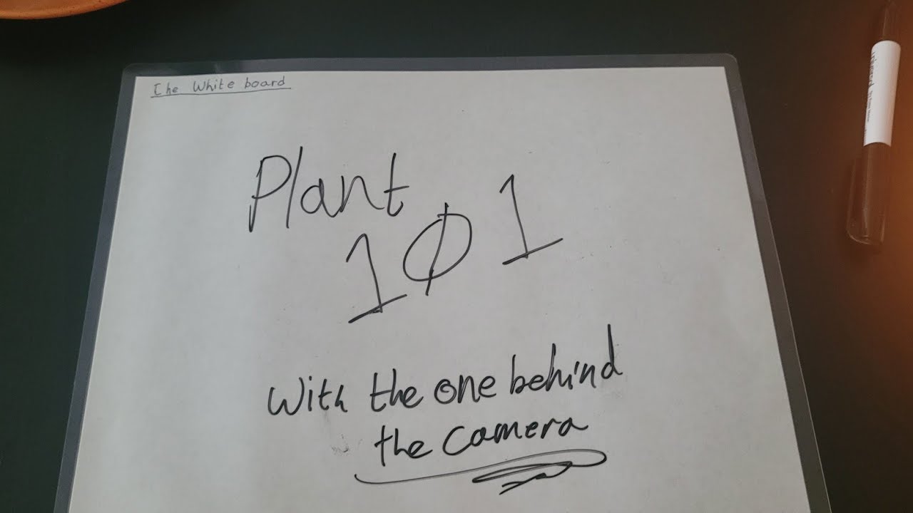 plant 101: Lesson 0: introduction - YouTube