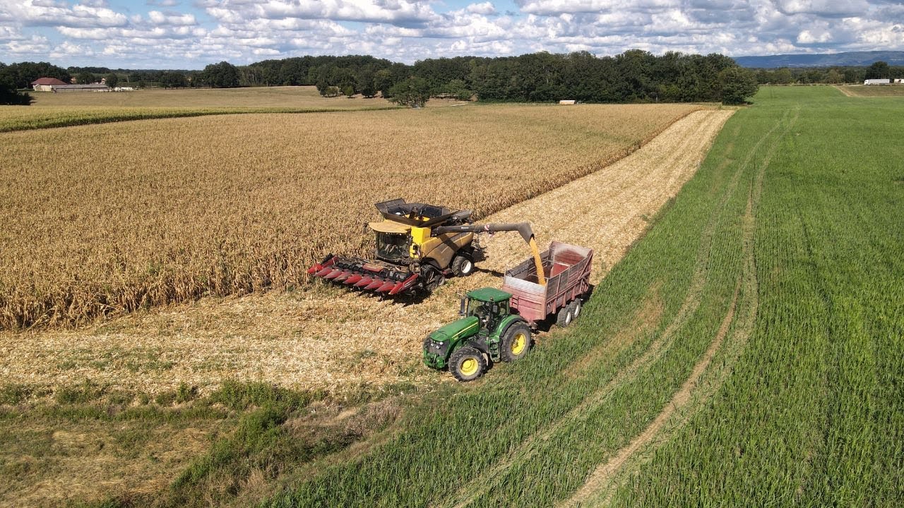 MOISSON DE MAÏS 2022 // NEW HOLLAND CR8.90 // SARL MICHON // FARMER IRL ...