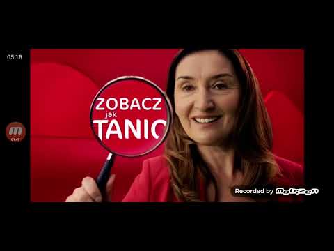 Cbeebies Poland 🇵🇱 Continuity + Ads 1/07/2026