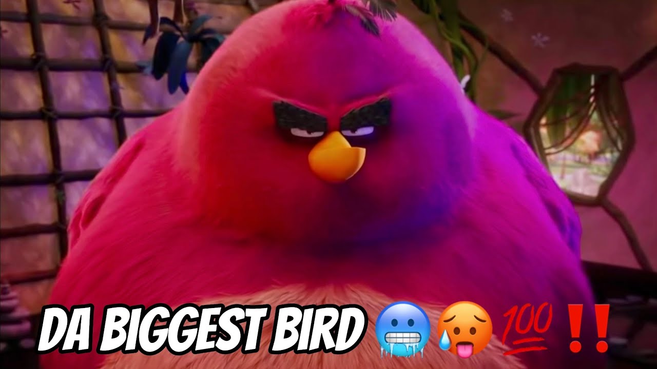 IM DA BIGGEST BIRD - YouTube