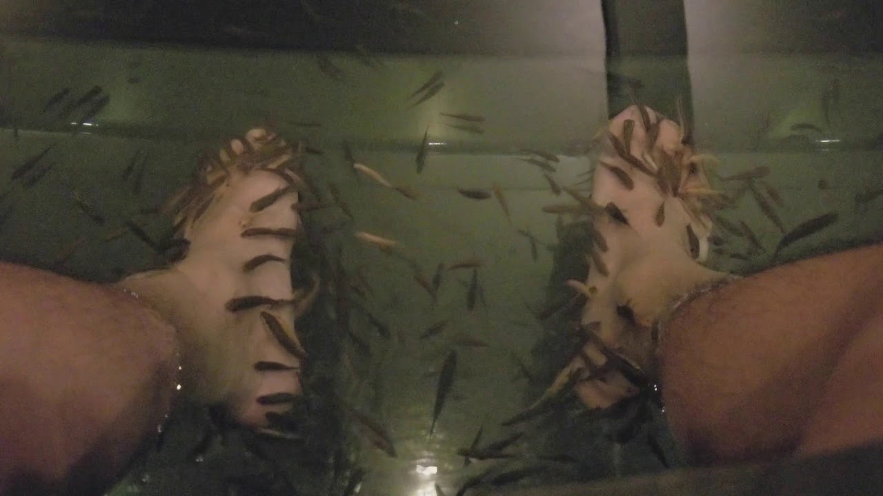 Fish Pedicure / Foot Massage in Bangkok, Thailand-- Visual ASMR ...