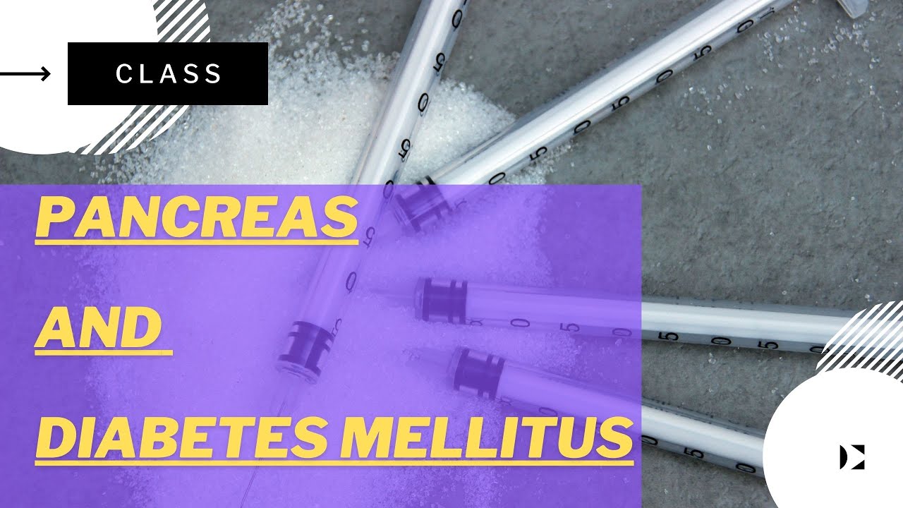 Pancrease Dm Youtube 2721