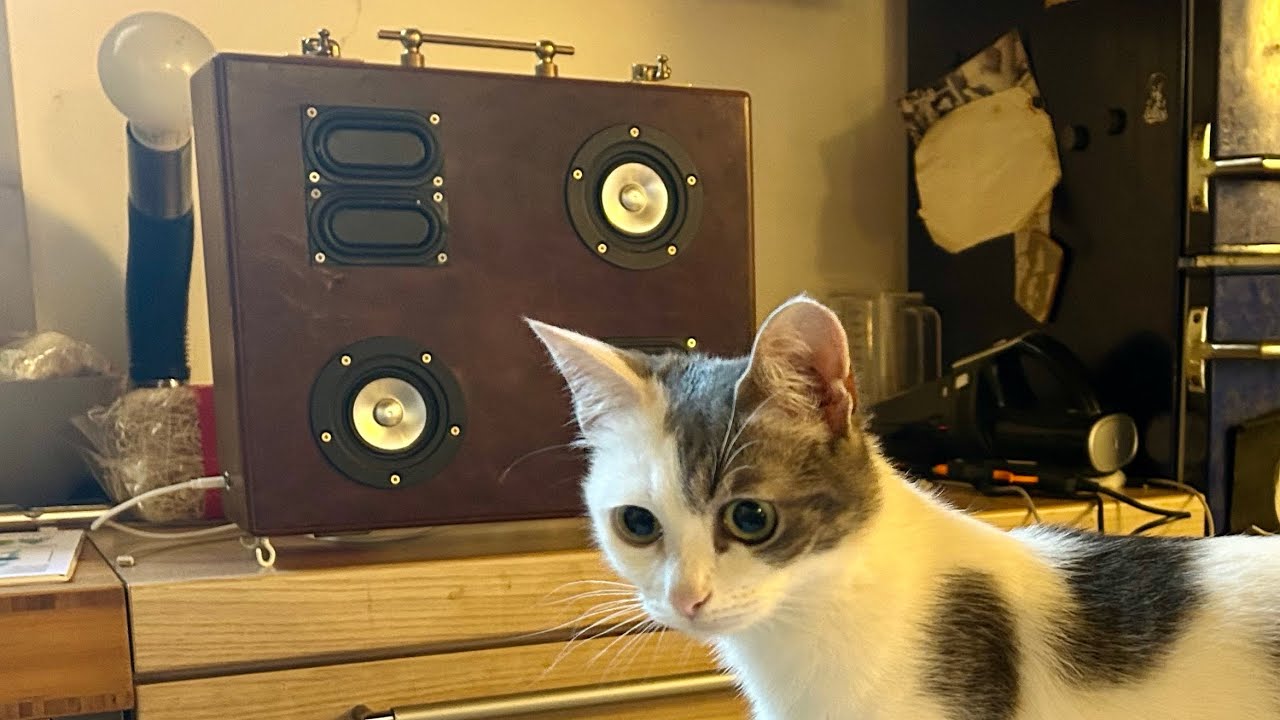 The Pippers Finds Out That Her Portal To Narnia Has Been Closed Shut So ...