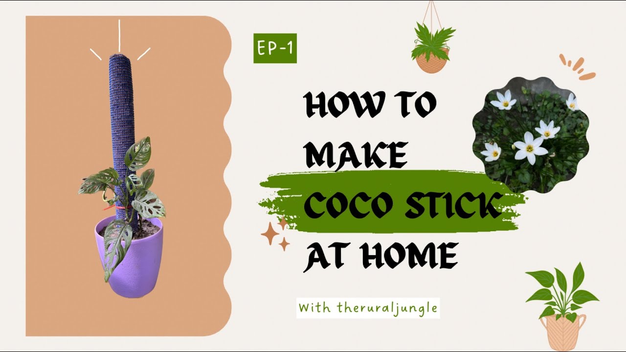 How to make coir stick at home || coco stick for plants || Easy way to ...
