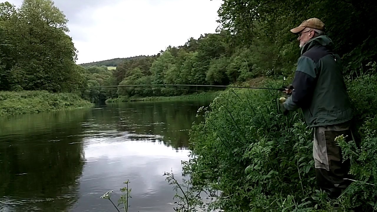 Salmon Fishing Ireland 2019 HD. - YouTube