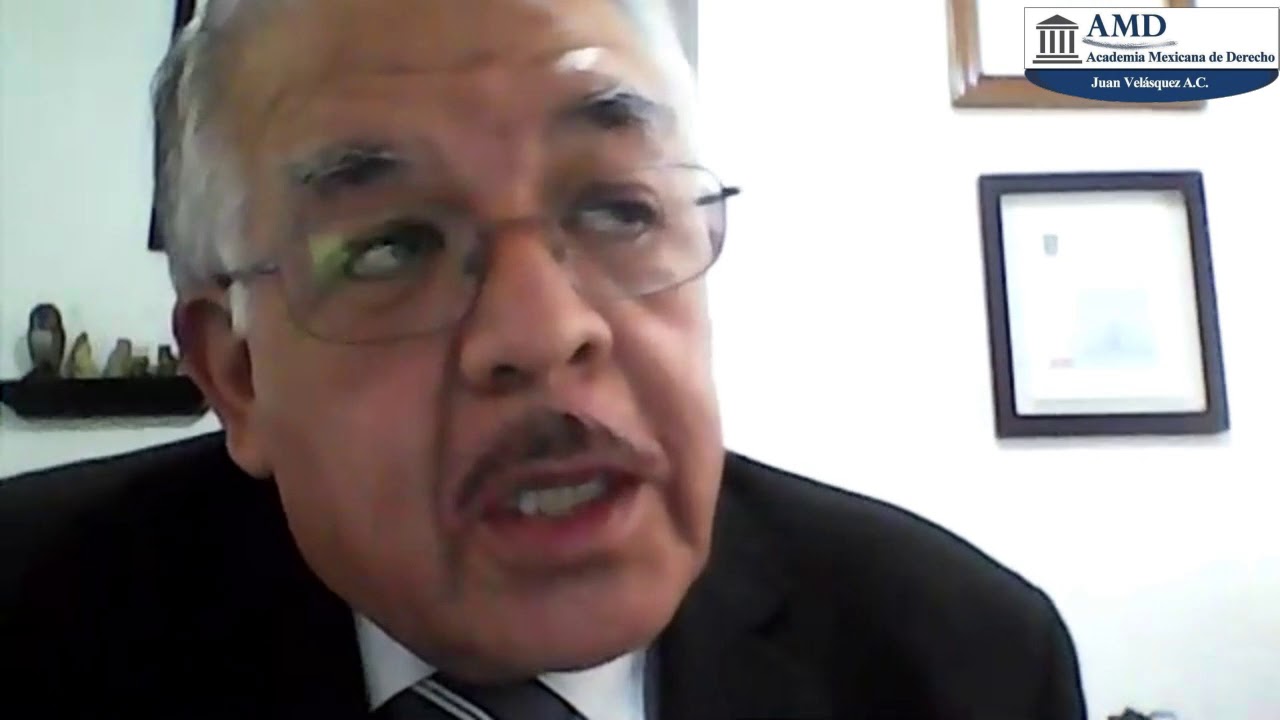 "El debido proceso legal en materia procesal electoral", Dr Sergio ...