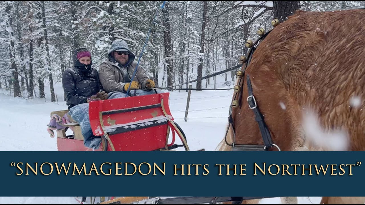 Snowmageddon Hits The Northwest - YouTube