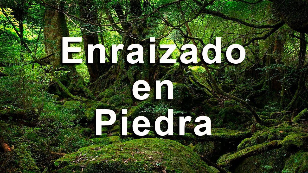 Enraizado en Piedra - YouTube